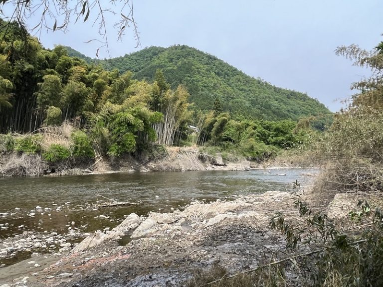 Ayu sweet fish season is coming soon!