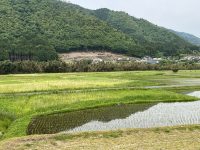 Visit Miyama | Kyoto's village culture